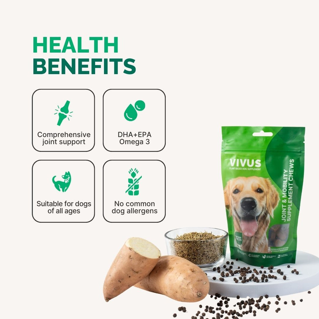Joint and Mobility Support Supplement for Dogs – Vivus Pets