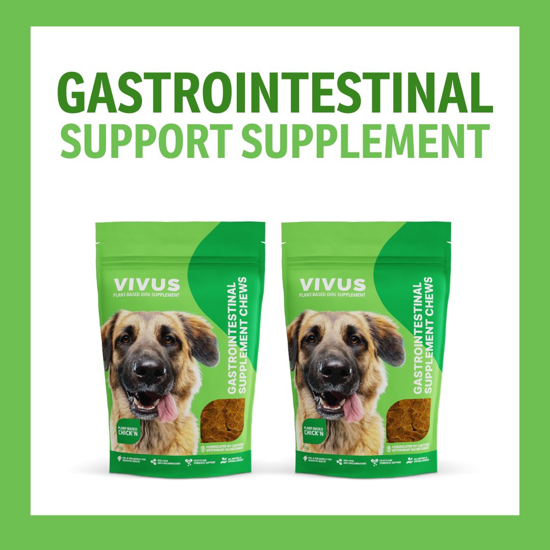 Gastrointestinal Support Chewable Supplement 2-Pack Bundle – Vivus Pets